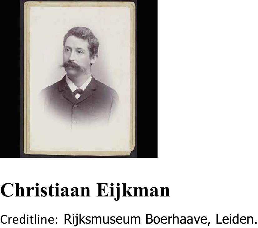 Christiaan Eijkman (1856–1930) | SpringerLink