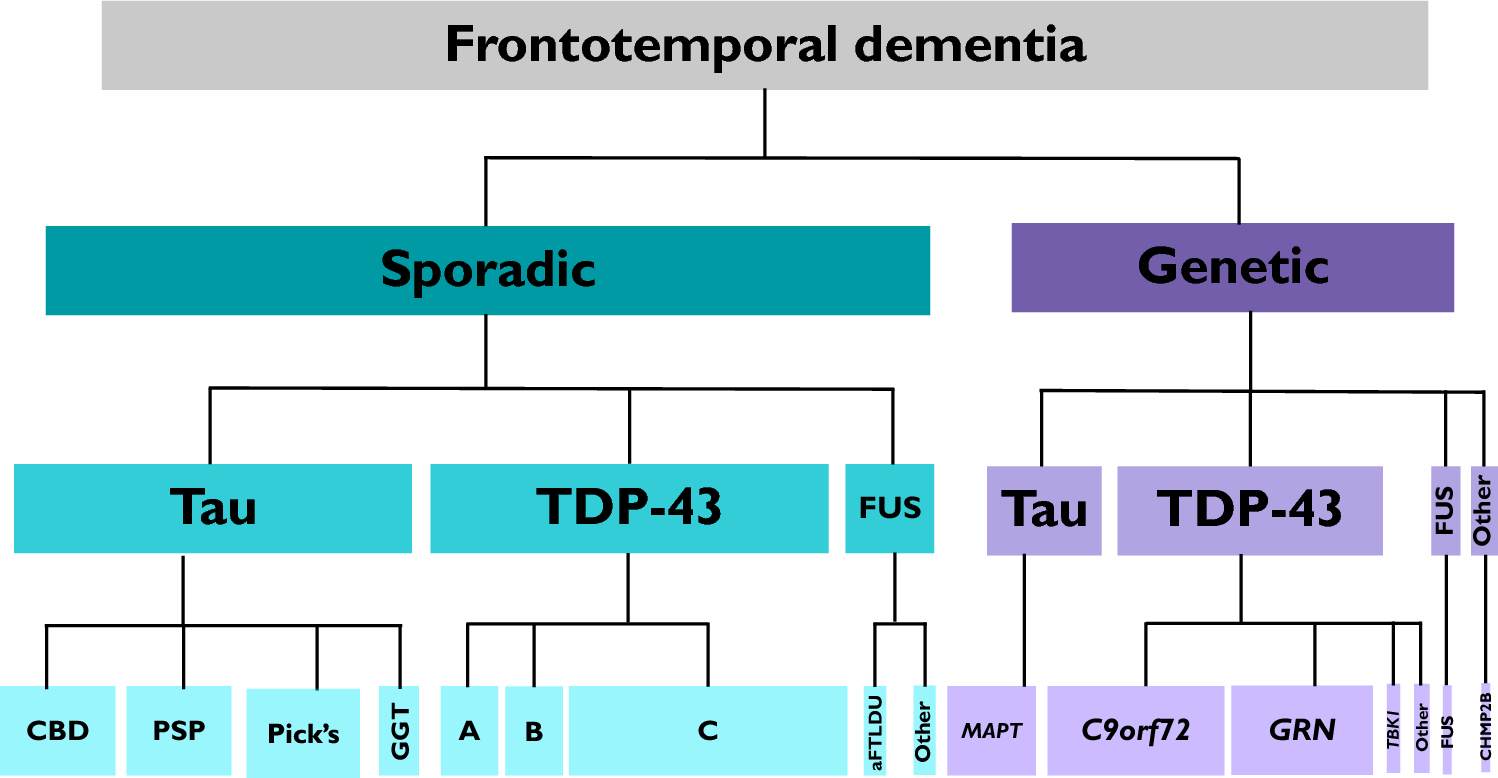 An update on genetic frontotemporal dementia | SpringerLink