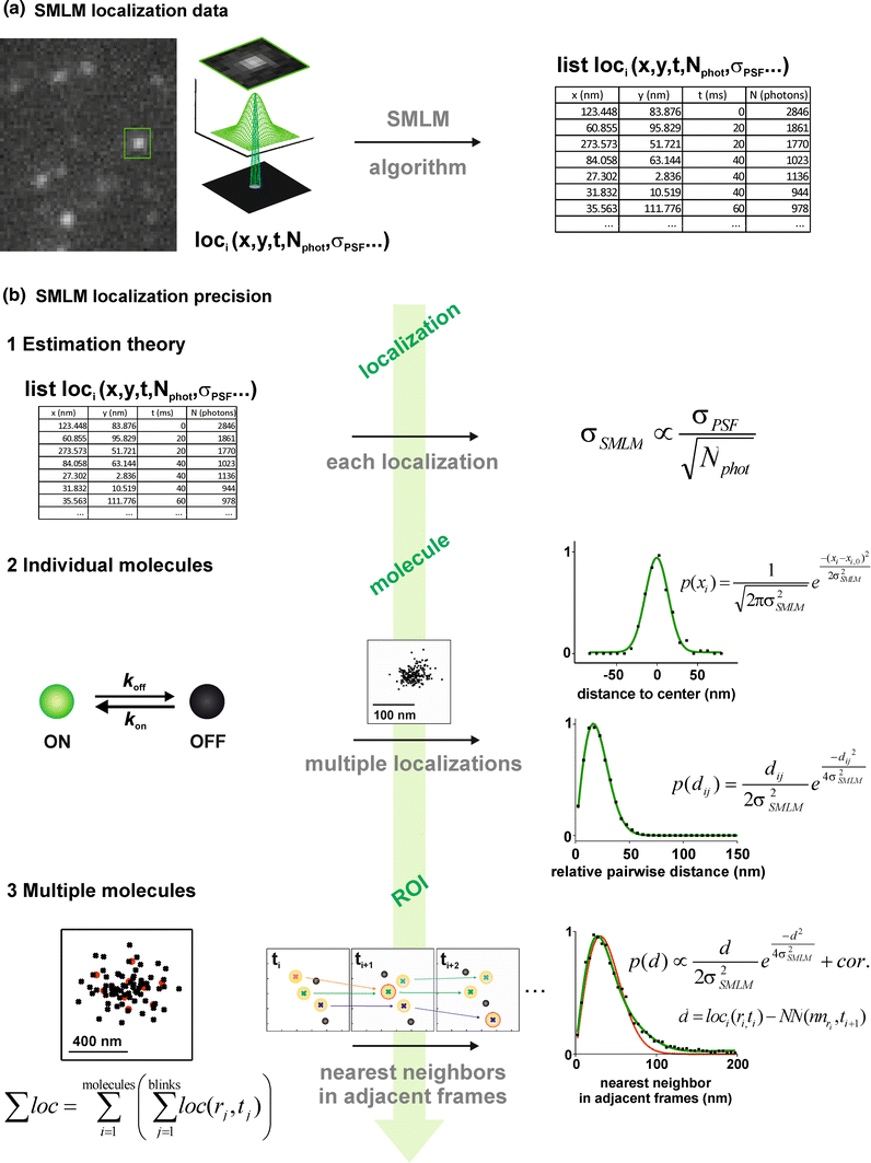 A simple method to estimate the average localization precision of a ...