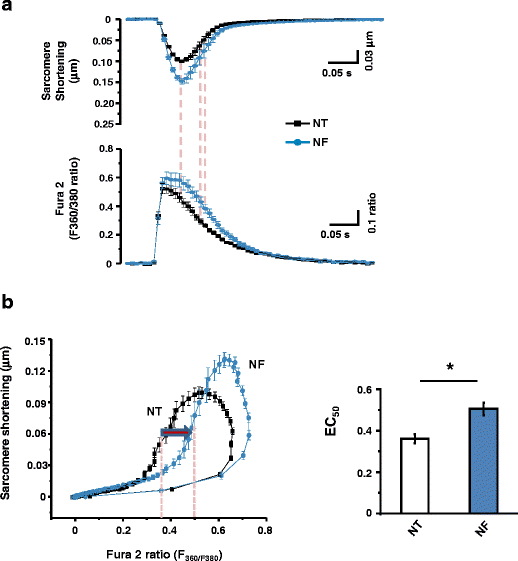Cardiac inotropy, lusitropy, and Ca2+ handling with major metabolic ...
