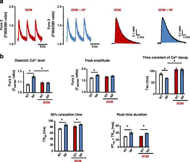 Cardiac inotropy, lusitropy, and Ca2+ handling with major metabolic ...