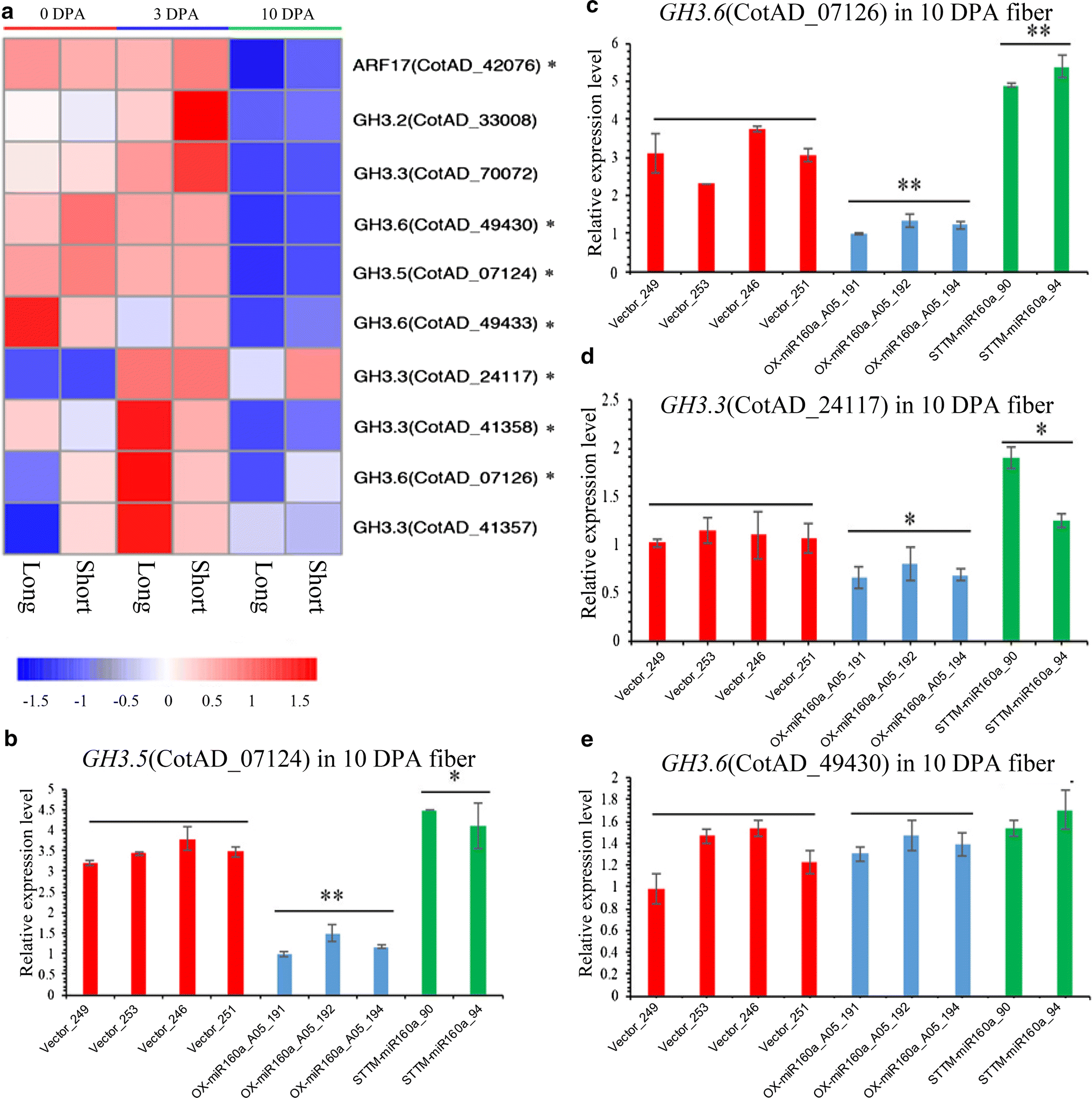 Analysis of the MIR160 gene family and the role of MIR160a_A05 in ...