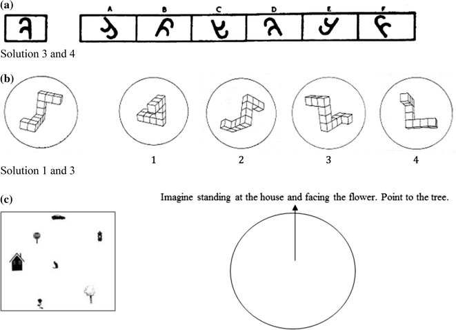 Mental rotation training: transfer and maintenance effects on spatial ...