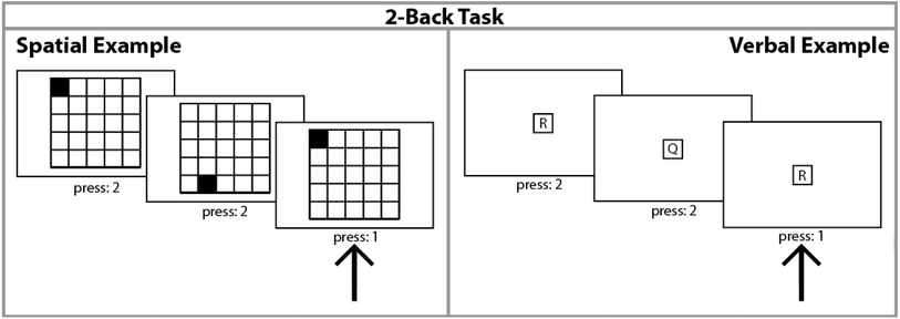 Working memory training improves visual short-term memory capacity | SpringerLink