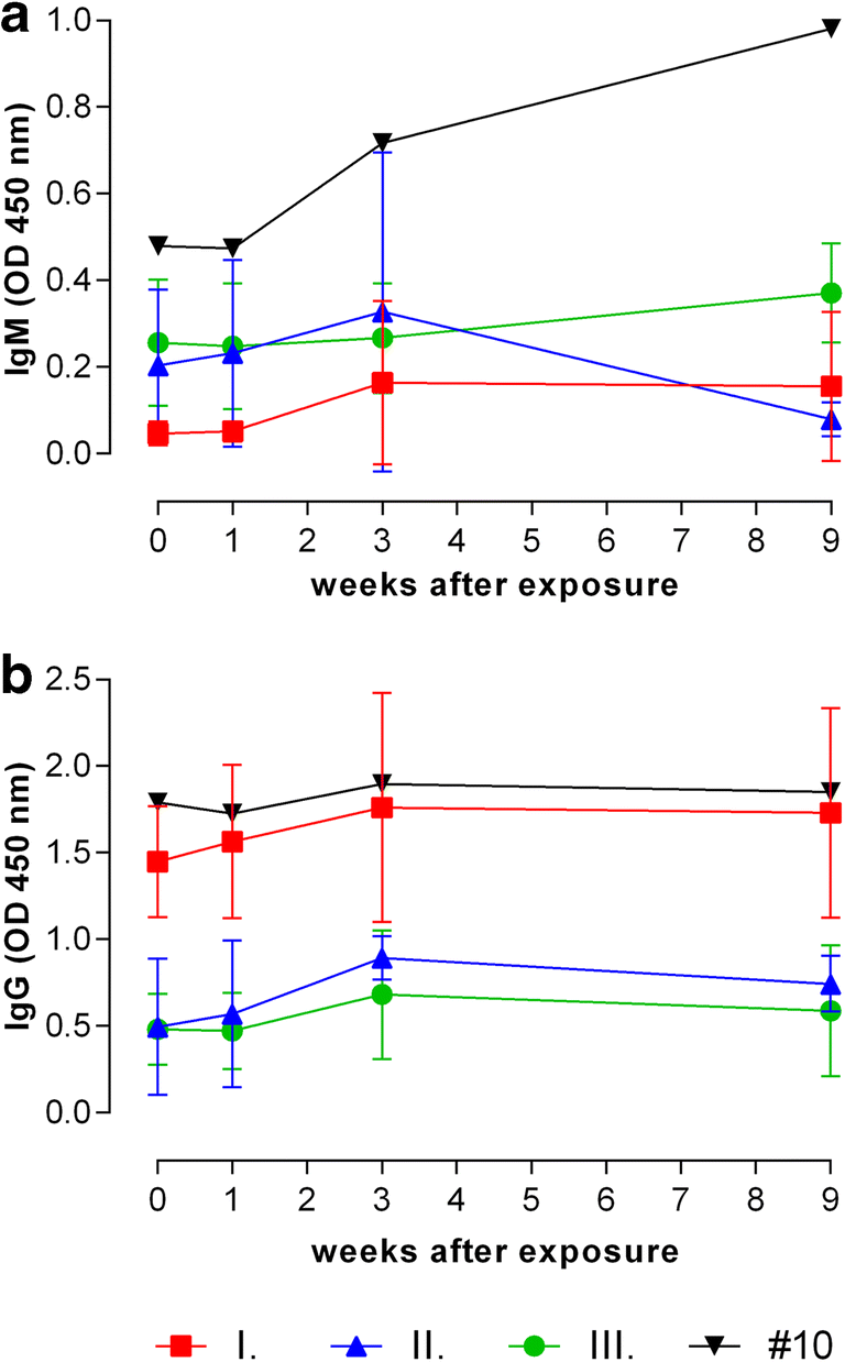 Cercarial dermatitis: a systematic follow-up study of human cases with ...