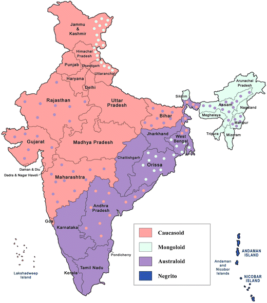 The Indian Genome Variation database (IGVdb): a project overview ...