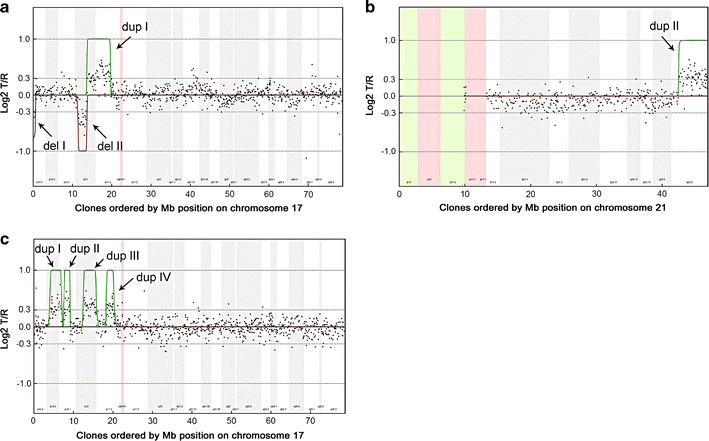 Complex chromosome 17p rearrangements associated with low-copy repeats ...