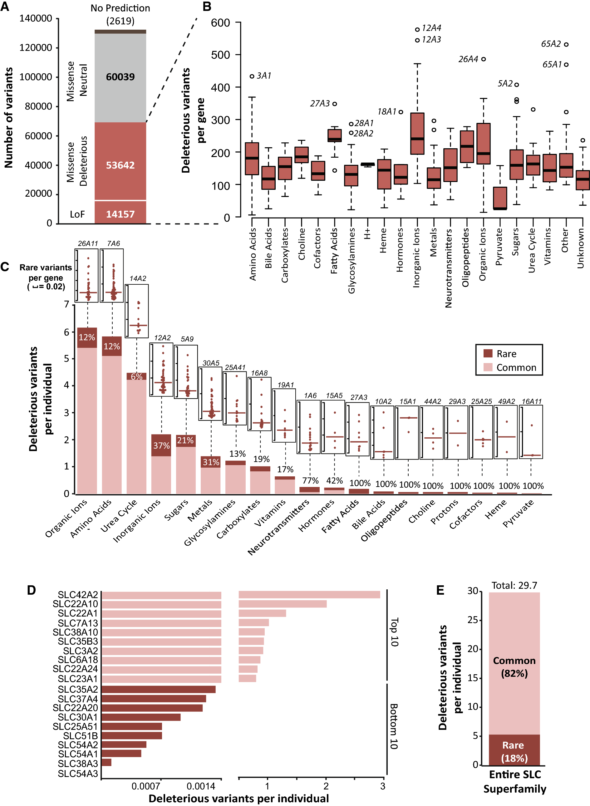 The genetic landscape of the human solute carrier (SLC) transporter ...
