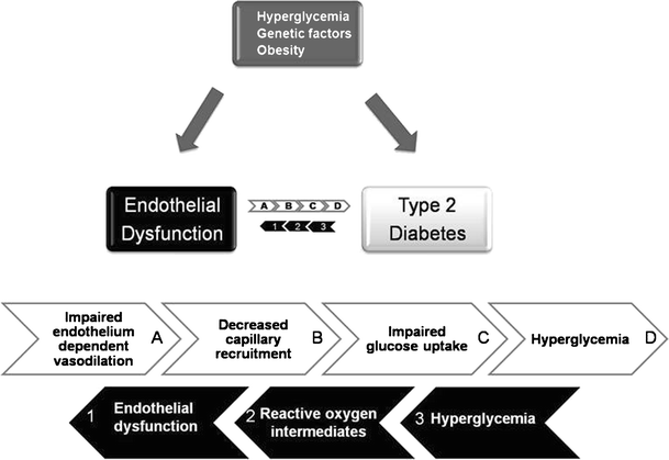 Endothelial dysfunction and diabetes: roles of hyperglycemia, impaired ...