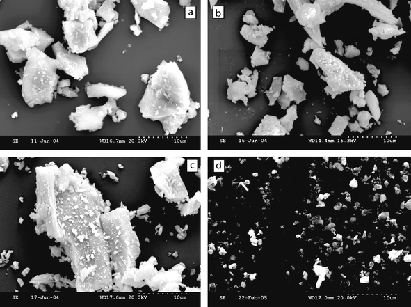 The respiratory health hazards of volcanic ash: a review for volcanic ...