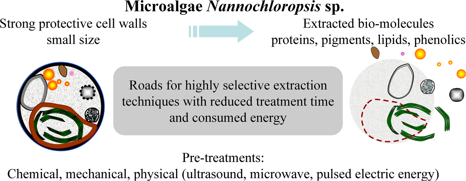 Emerging techniques for cell disruption and extraction of valuable bio ...