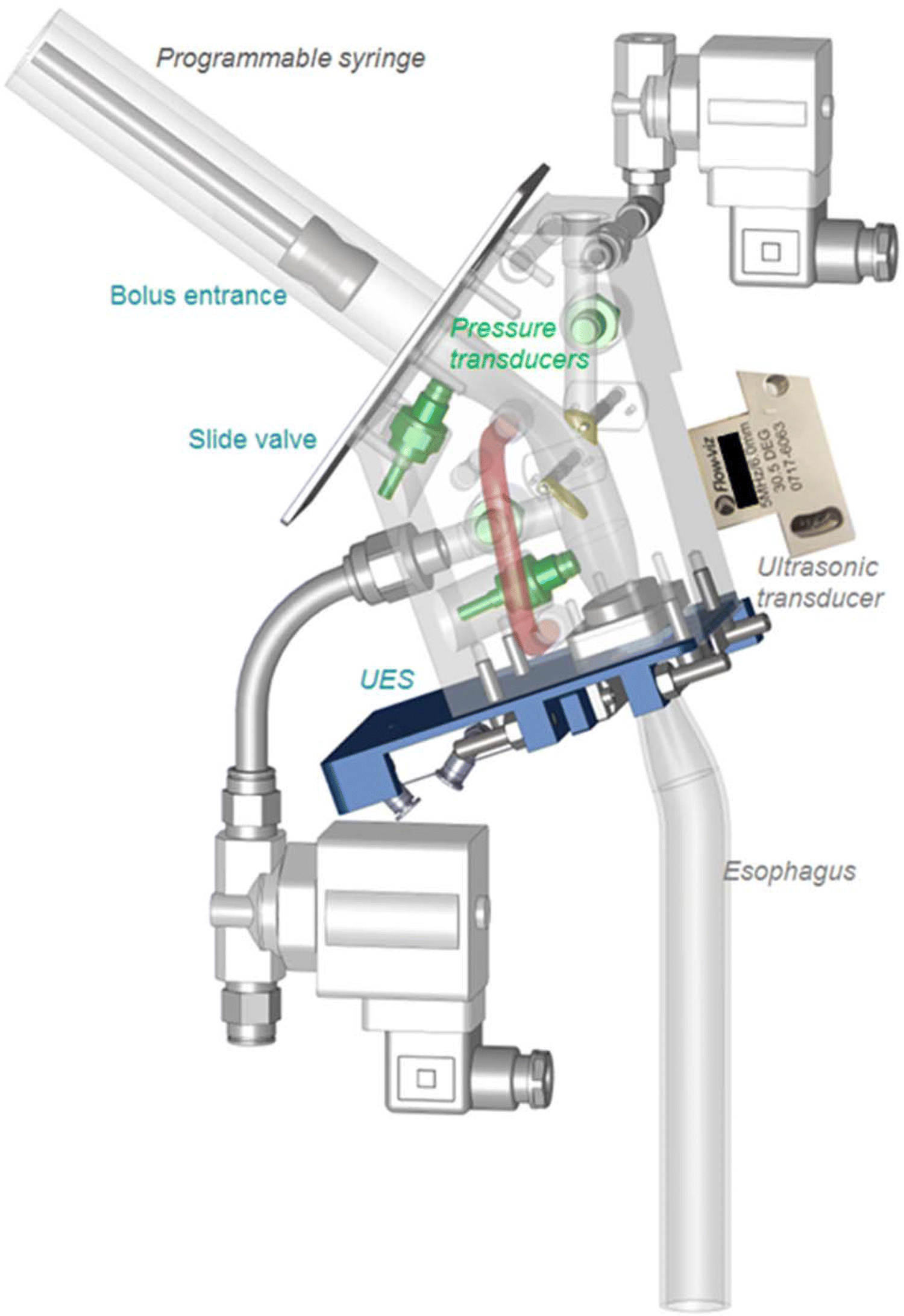 Assessment of the Food-Swallowing Process Using Bolus Visualisation and ...