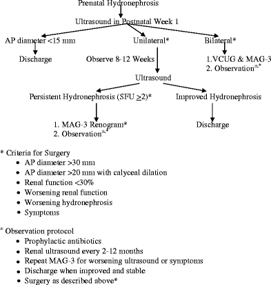 Management of fetal hydronephrosis | SpringerLink