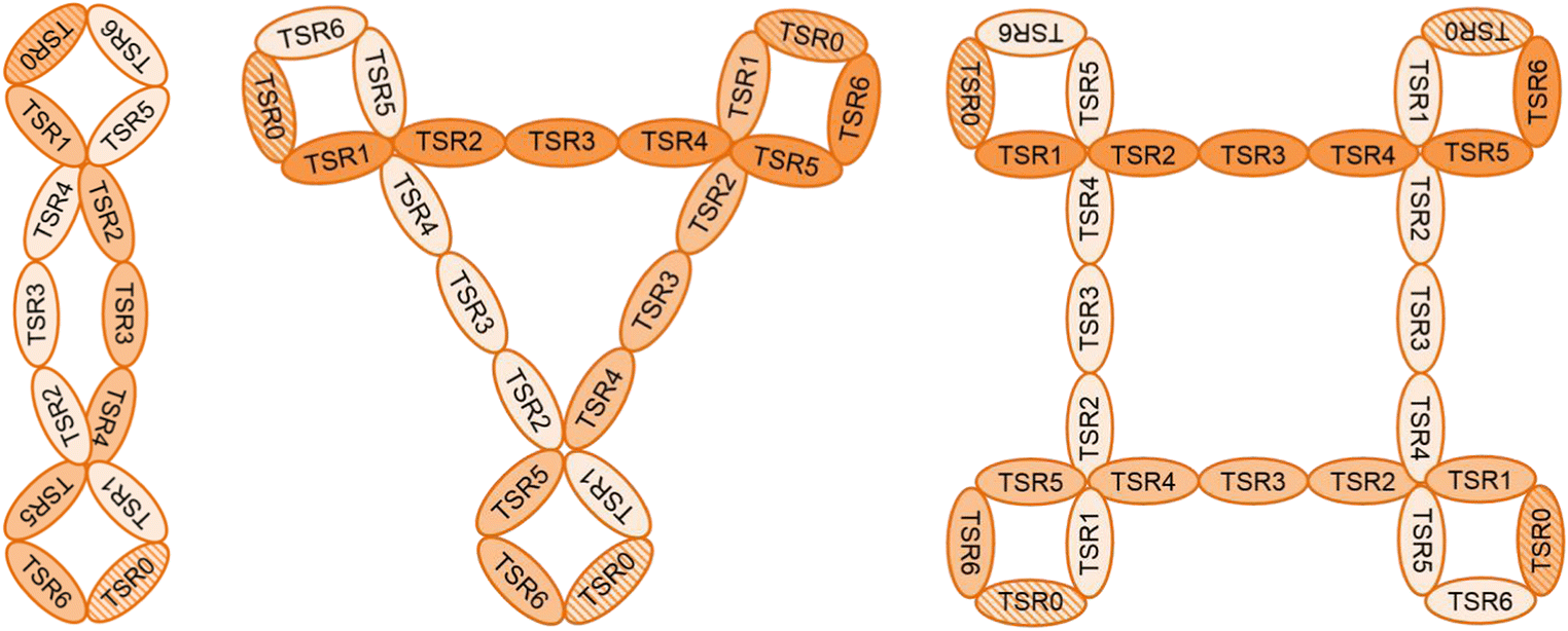 The role of properdin in complement-mediated renal diseases: a new ...