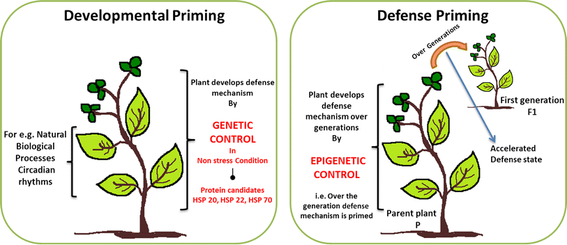 Pollen proteomics: from stress physiology to developmental priming ...