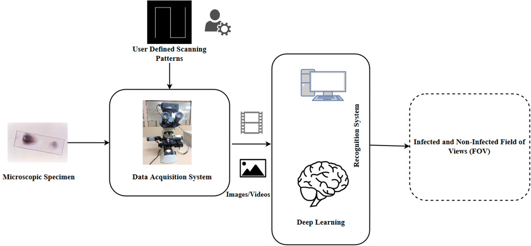 Tuberculosis Tb Detection System Using Deep Neural Networks