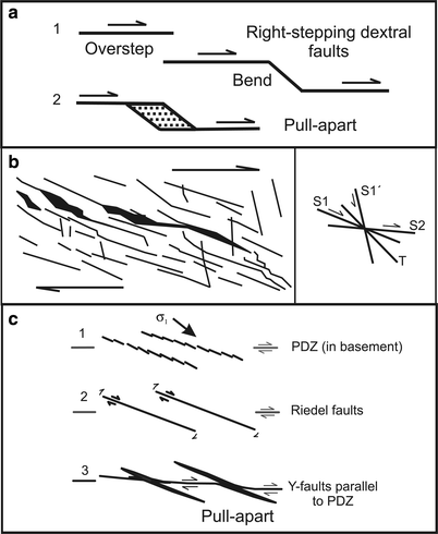 Initiation and development of pull-apart basins with Riedel shear ...