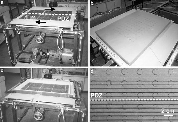 Initiation and development of pull-apart basins with Riedel shear ...
