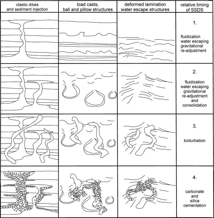 Types of soft-sediment deformation structures in a lacustrine Ploužnice ...