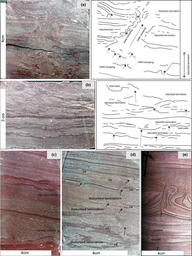 Types of soft-sediment deformation structures in a lacustrine Ploužnice ...