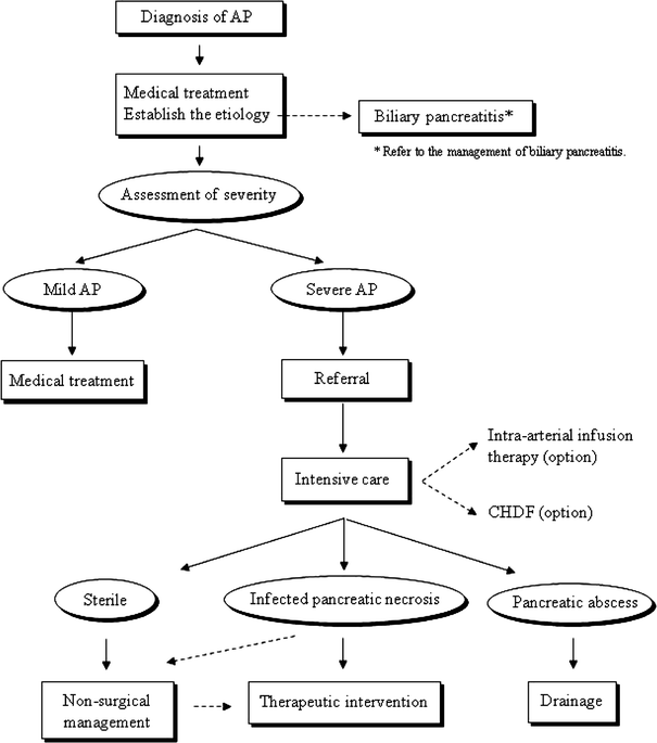 Treatment strategy for acute pancreatitis | SpringerLink