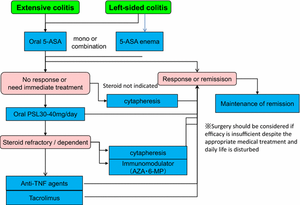 Evidence-based clinical practice guidelines for inflammatory bowel ...