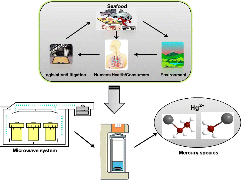 Microwave assisted extraction for mercury speciation analysis ...