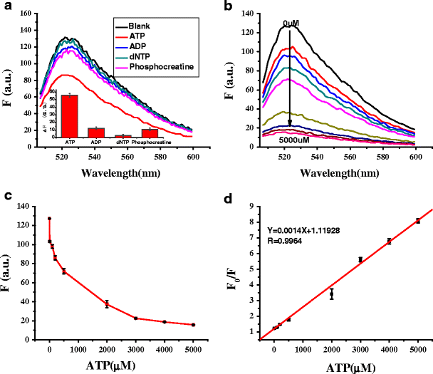 Aptamer based turn-off fluorescent ATP assay using DNA concatamers ...