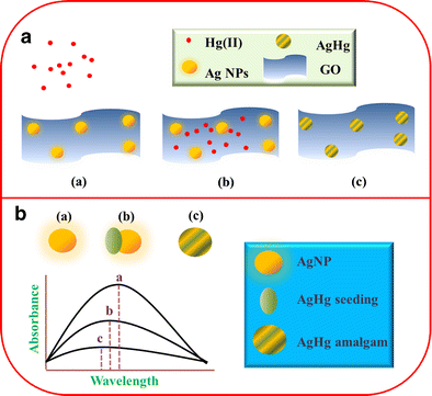Amalgamation based optical and colorimetric sensing of mercury(II) ions ...