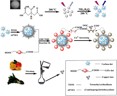 Silica-coated carbon dots conjugated to CdTe quantum dots: a ...