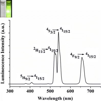 A luminescence resonance energy transfer based aptasensor for the mycotoxin Ochratoxin A using ...