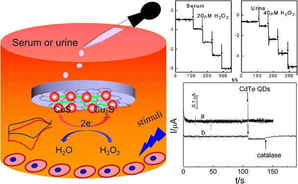 A review on nanomaterial-based electrochemical sensors for H2O2, H2S ...