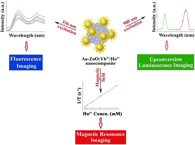 Plasmonic enhancement of the upconversion luminescence in a Yb3+ and Ho3+ co-doped gold-ZnO ...