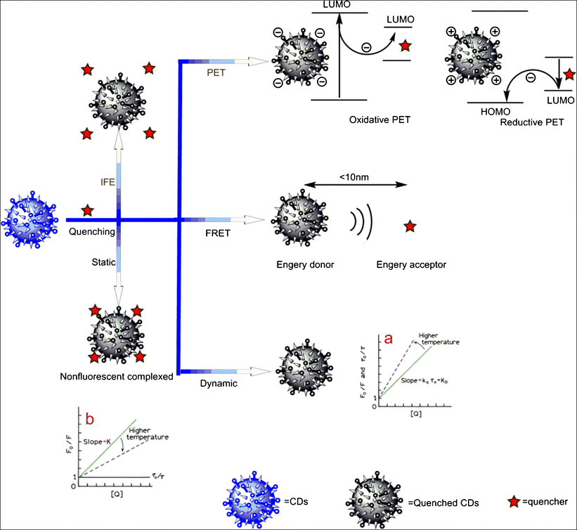 The quenching of the fluorescence of carbon dots: A review on ...