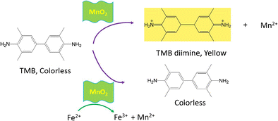 Ultrathin two-dimensional MnO2 nanosheet as a stable coreactant of 3,3 ...