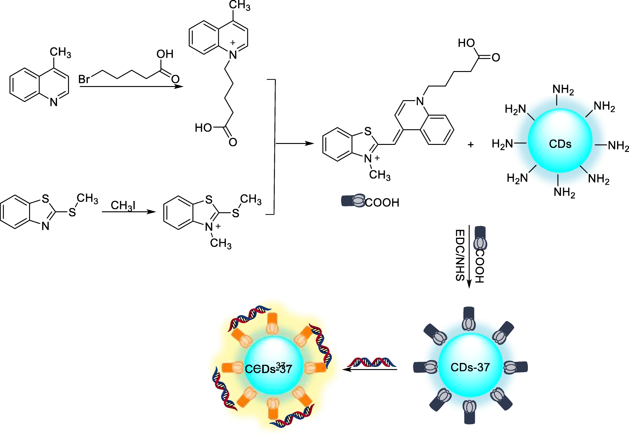 Surface modification and chemical functionalization of carbon dots: a ...