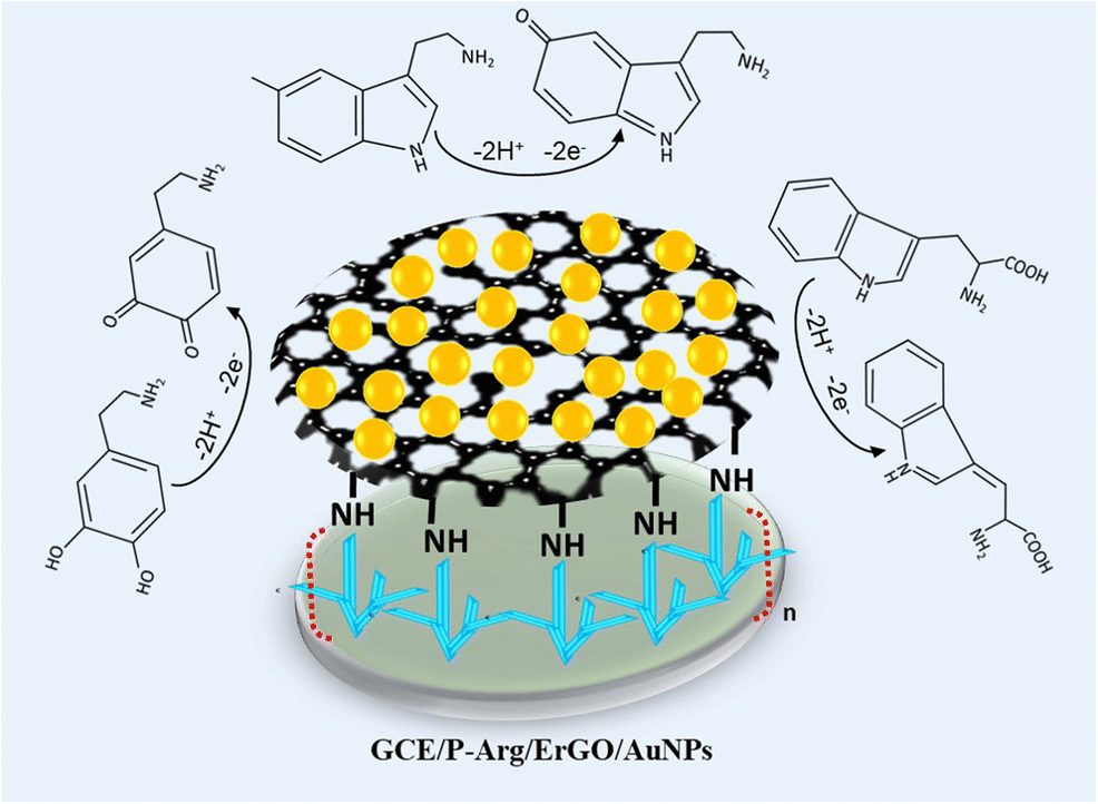 A glassy carbon electrode modified with a composite consisting of gold ...