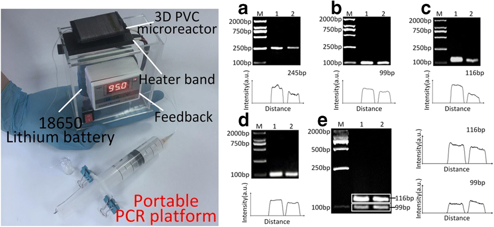 A PCR microreactor machinery with passive micropump and battery-powered ...