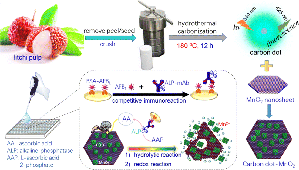 Carbon dots prepared from Litchi chinensis and modified with manganese ...