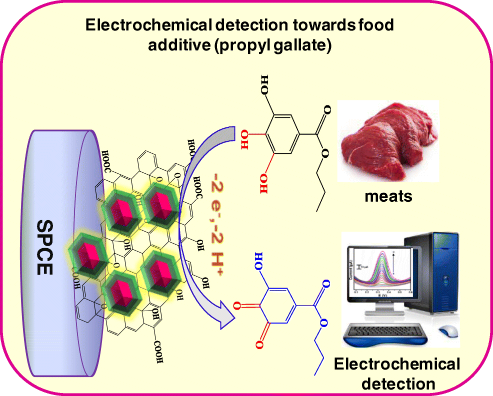Determination of the antioxidant propyl gallate in meat by using a ...