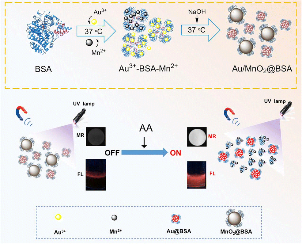 Blended gold/MnO2@BSA nanoparticles for fluorometric and magnetic ...