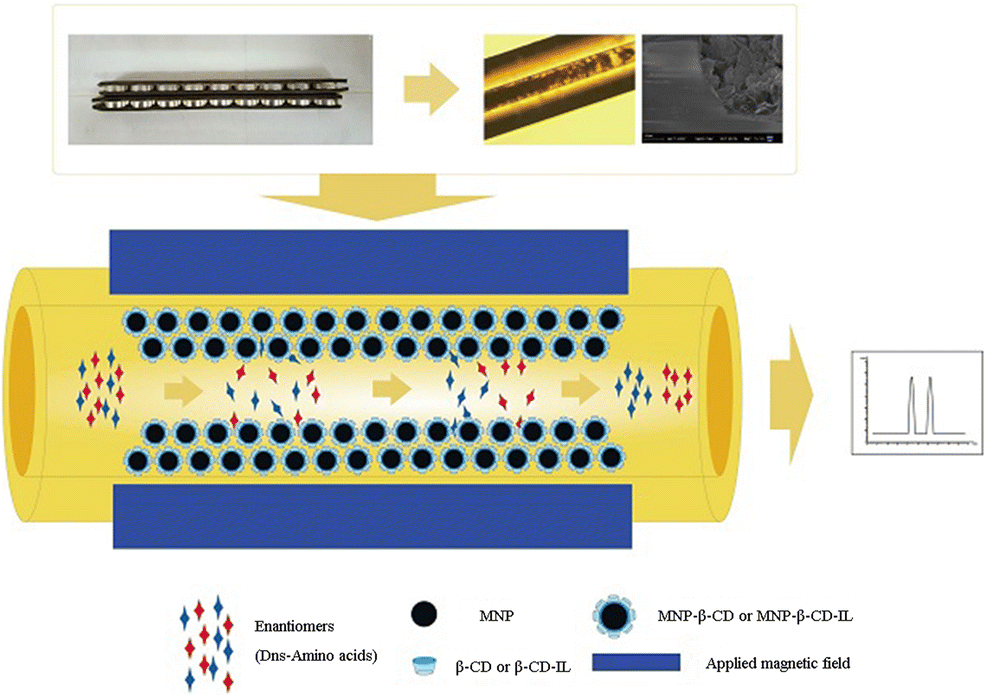Open-tubular capillary electrochromatography with β-cyclodextrin ...