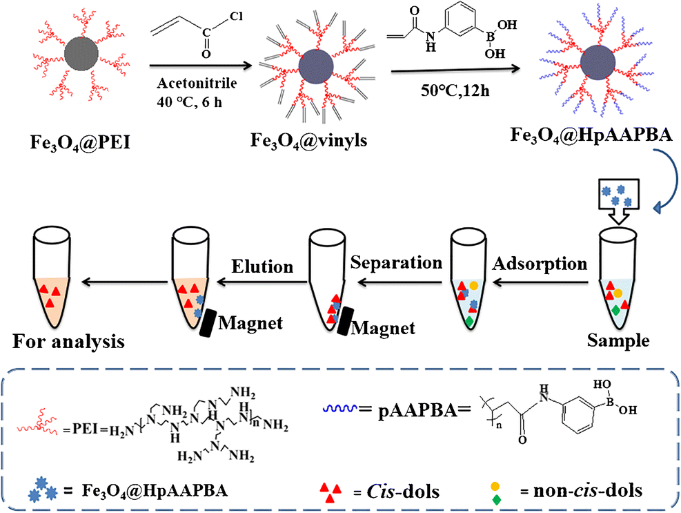 Boronate affinity magnetic nanoparticles with hyperbranched polymer ...