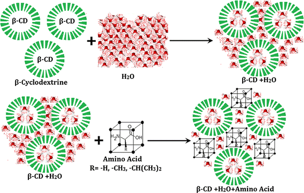 Molecular interactions of α-amino acids insight into aqueous β ...