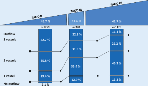 Percutaneous endovascular treatment of infrainguinal PAOD | SpringerLink