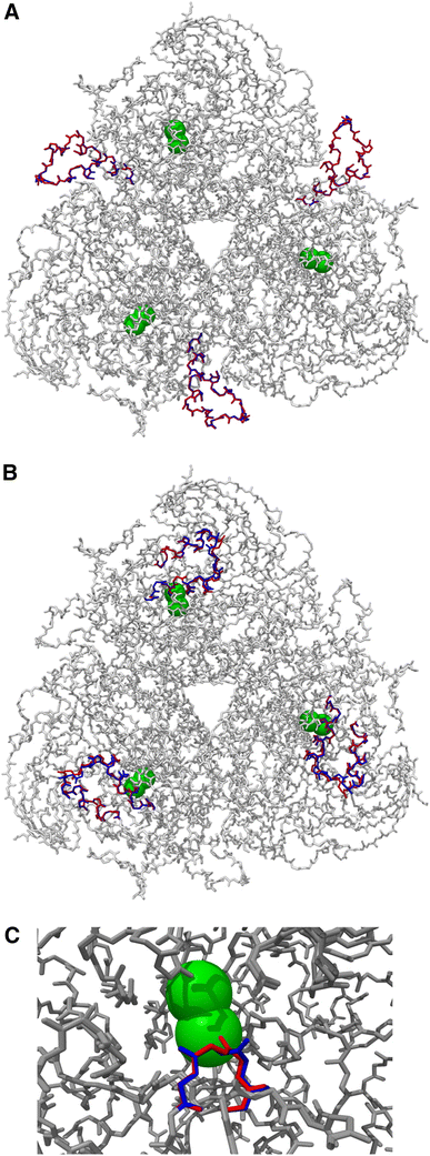 Fluoride inhibition of Sporosarcina pasteurii urease: structure and ...