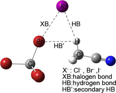 Theoretical study of the triangular bonding complex formed by carbon ...