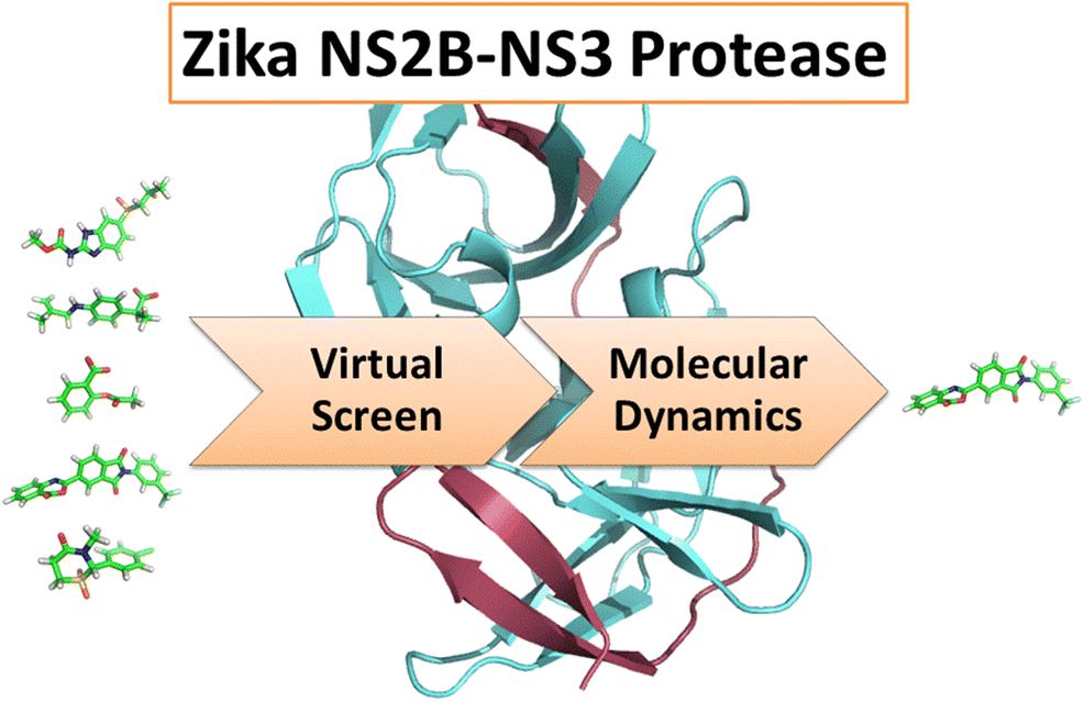 Identification of potential Zika virus NS2B-NS3 protease inhibitors via docking, molecular ...