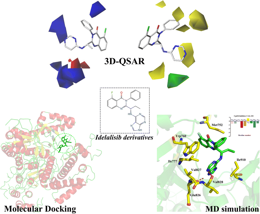 Theoretical studies on the selectivity mechanisms of PI3Kδ inhibition with marketed idelalisib ...