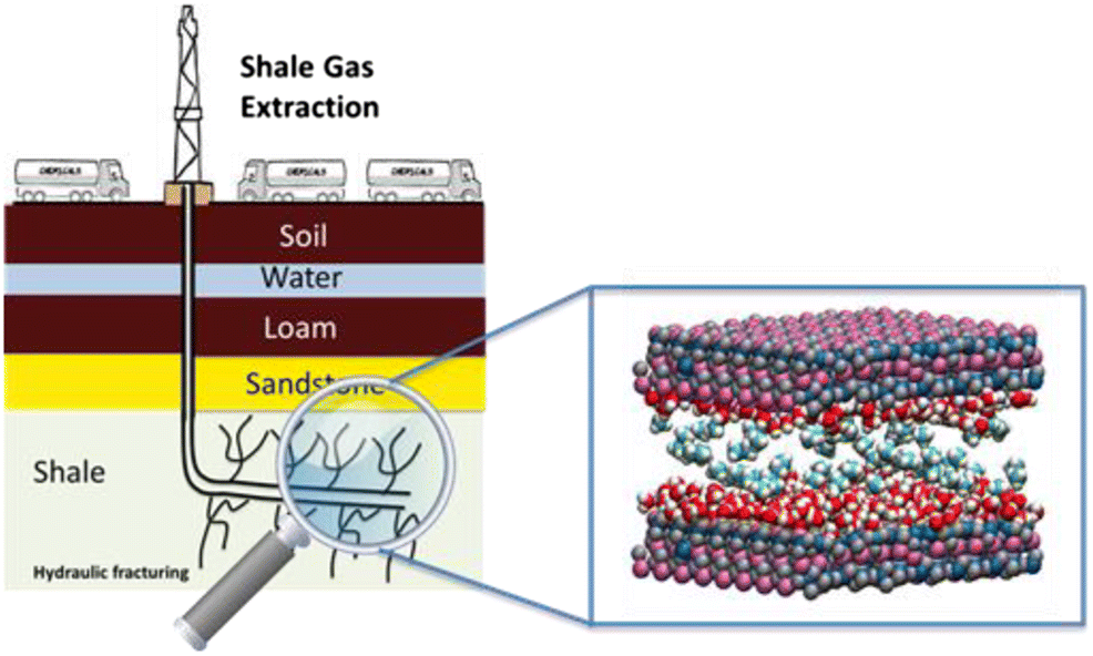 Effect of CO2 and H2O on the behavior of shale gas confined inside ...